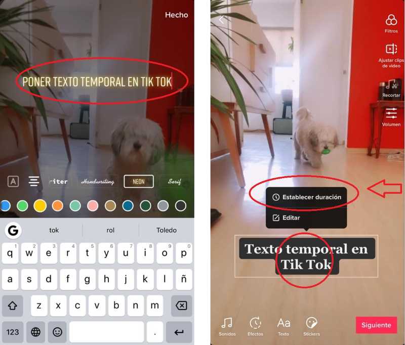 Cómo poner texto en Tik Tok y que desaparezca